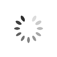 VQ and Coaching Program